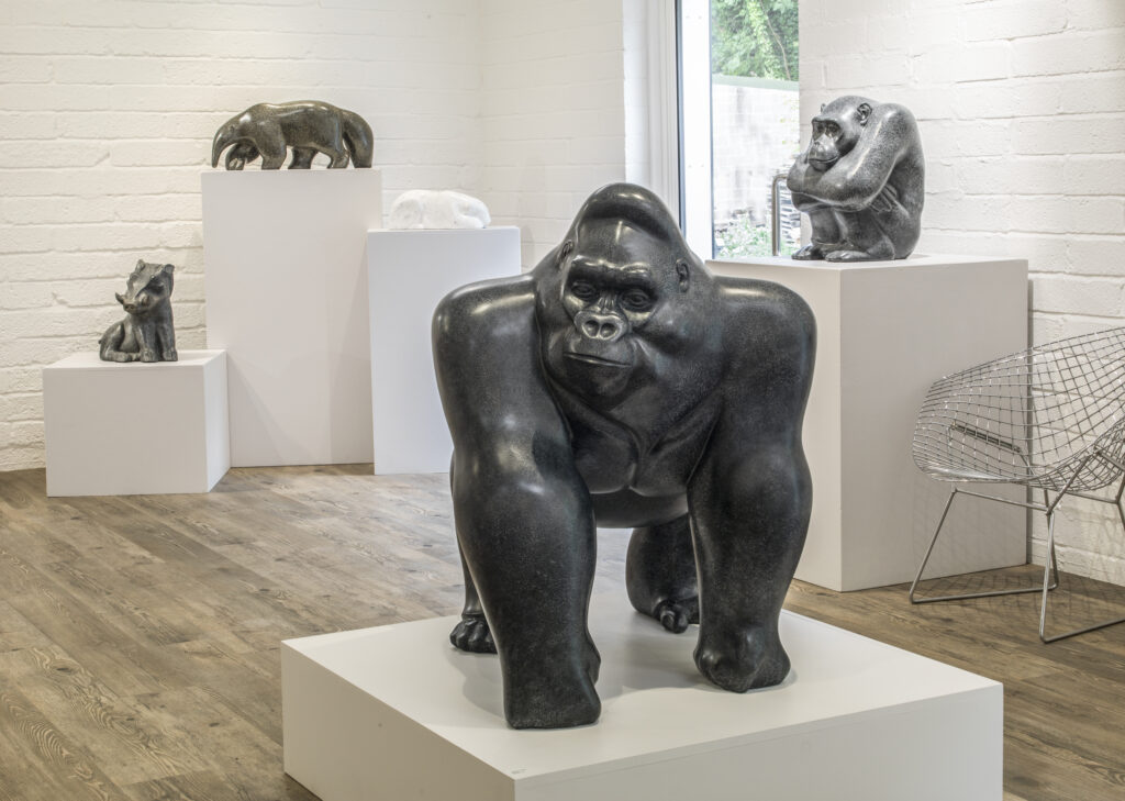 Gallery Pangolin - Michael Cooper - Out of the Block