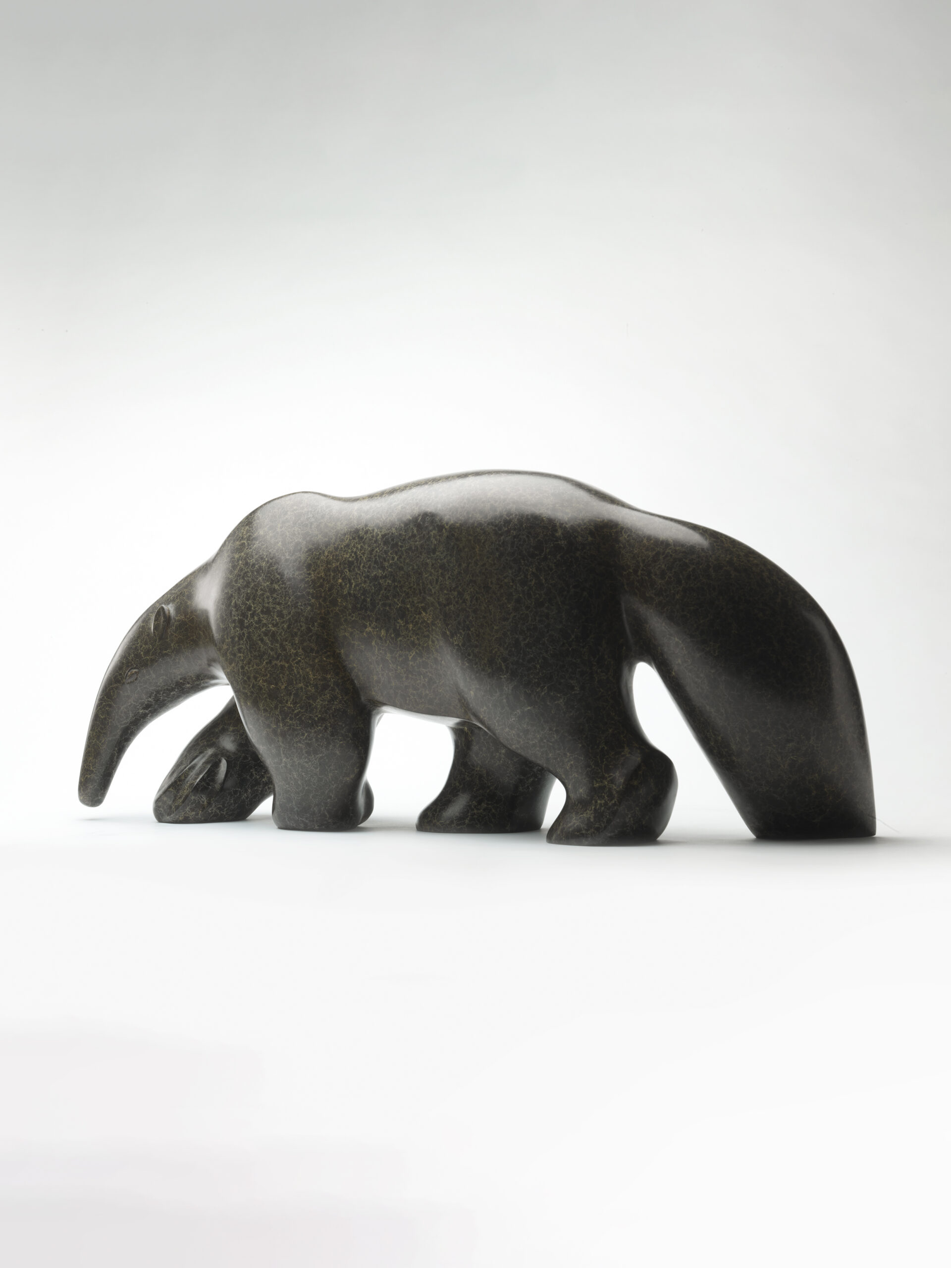 Gallery Pangolin - Anteater